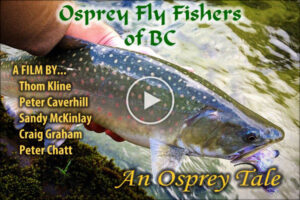 Osprey Fly Box – Osprey Fly Fishers of B.C.